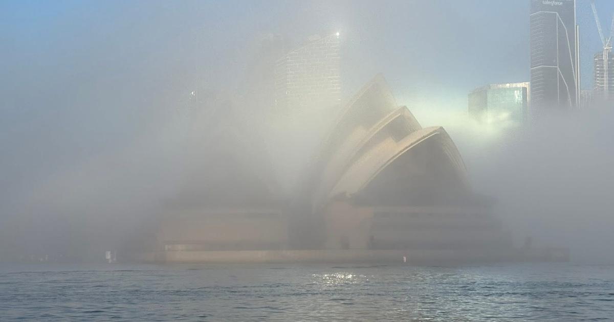 Loose Joints with Sophie Gordon | 01.02.2026 | fbi.radio