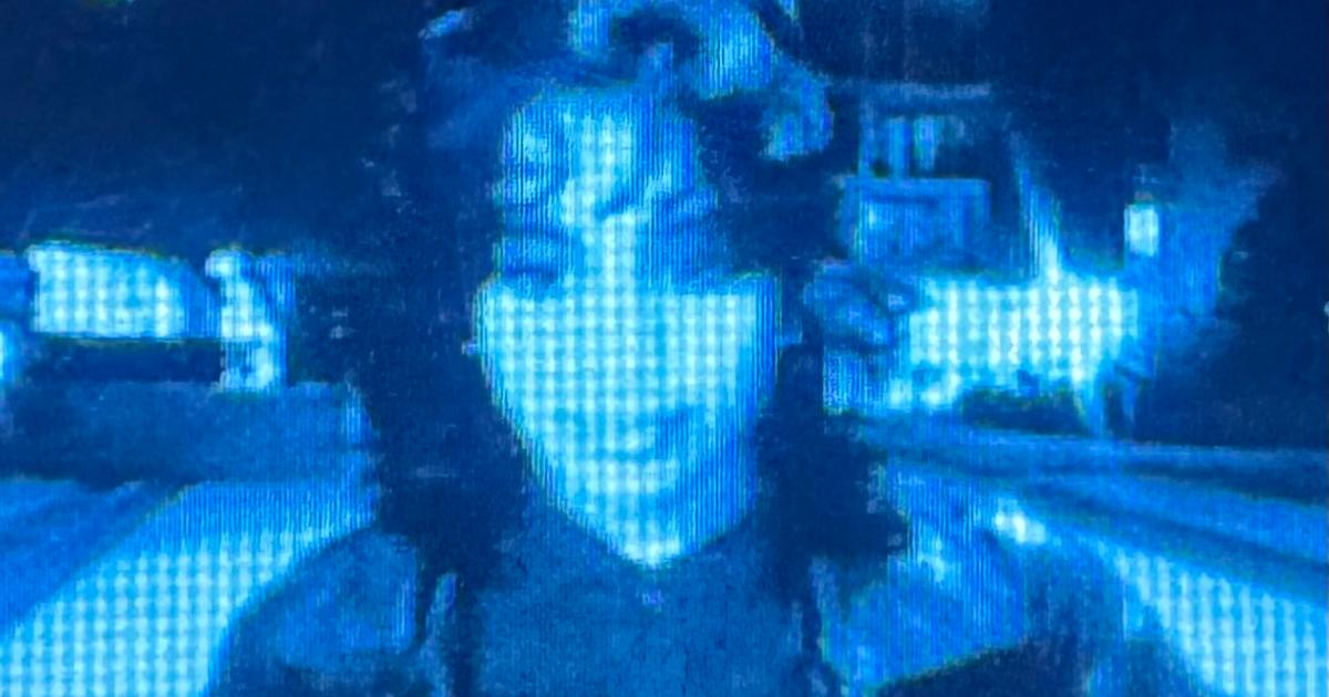 Limbs Akimbo ˖°anusha ˖° | 26.07.2025 | fbi.radio