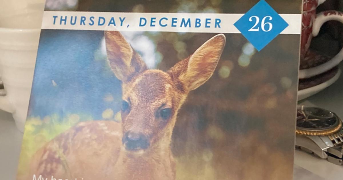 The Playlist / 2024 wrap :D | 27.12.2024 | fbi.radio