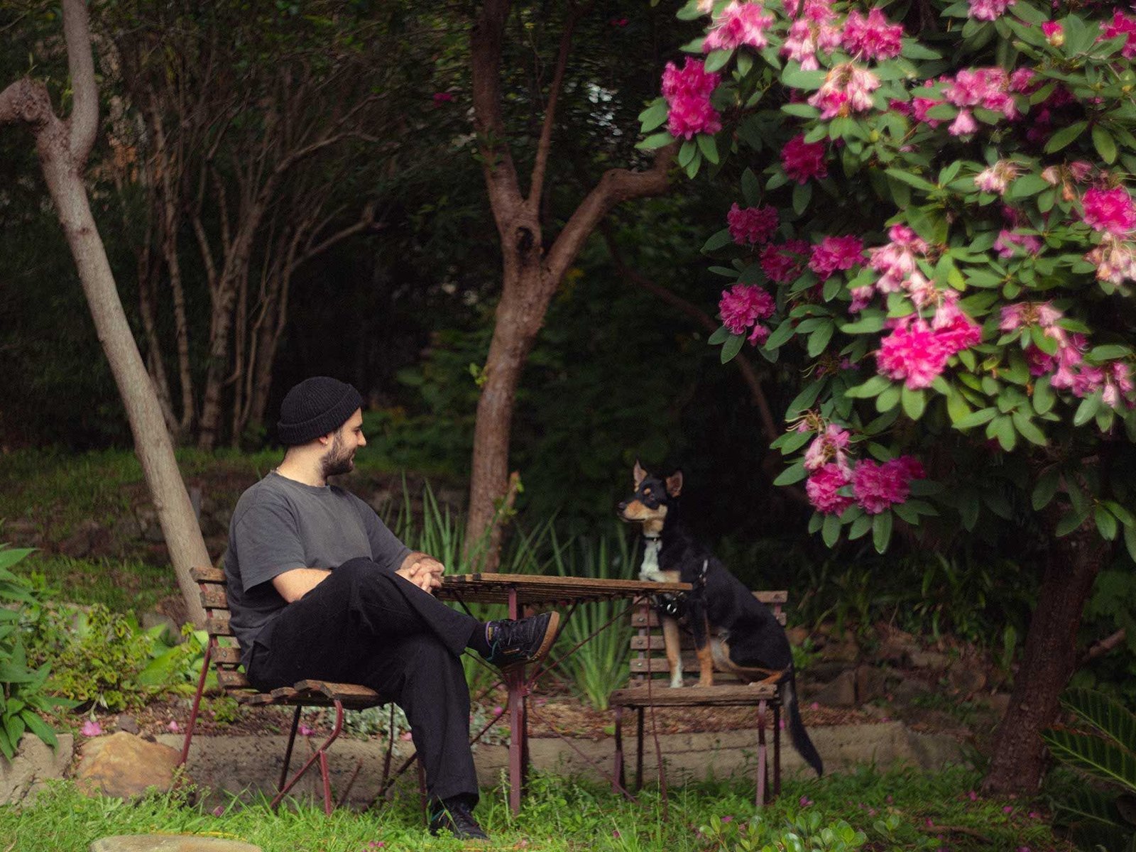 Limbs Akimbo | fbi.radio